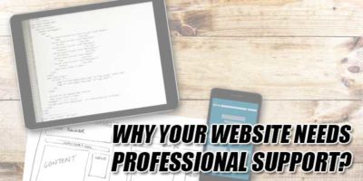 Why Your Website Needs Professional Support? - EXEIdeas – Let's Your ...