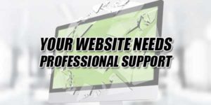 Why Your Website Needs Professional Support? - EXEIdeas – Let's Your ...