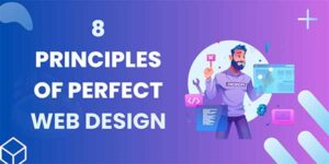8 Principles Of Perfect Web Design For Your Business - EXEIdeas – Let's ...